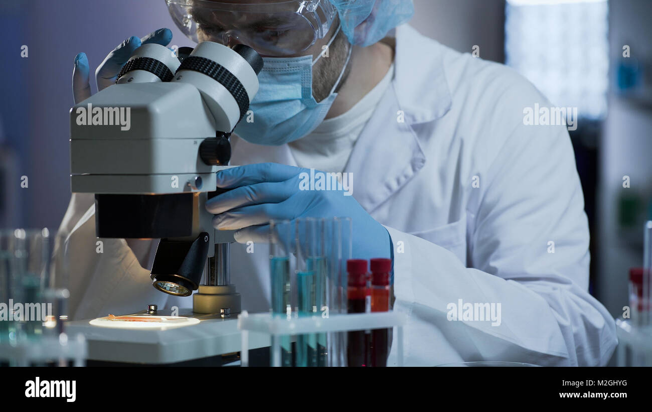 Lab based tests hi-res stock photography and images - Alamy