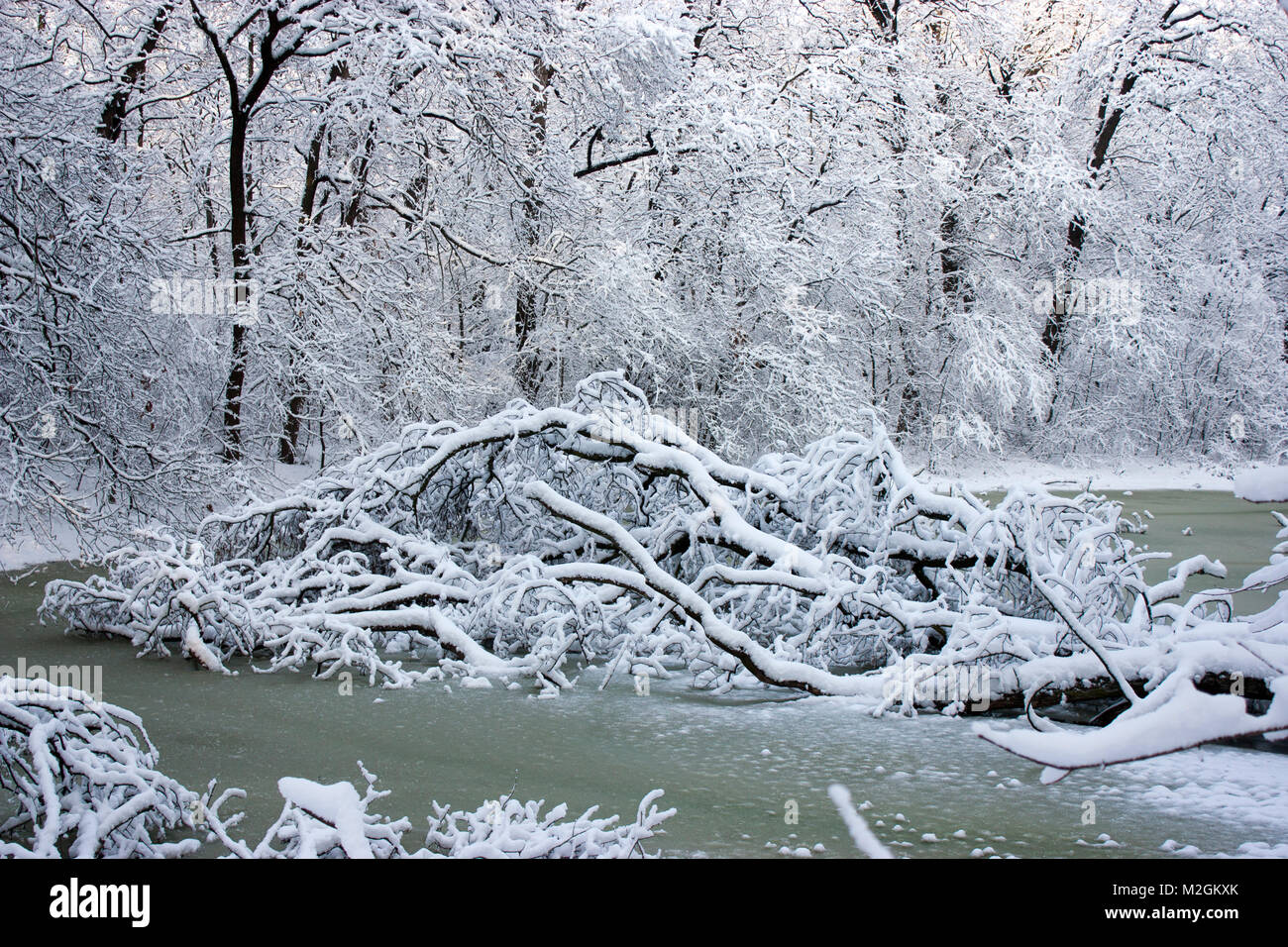 Frozen outdoor hi-res stock photography and images - Alamy
