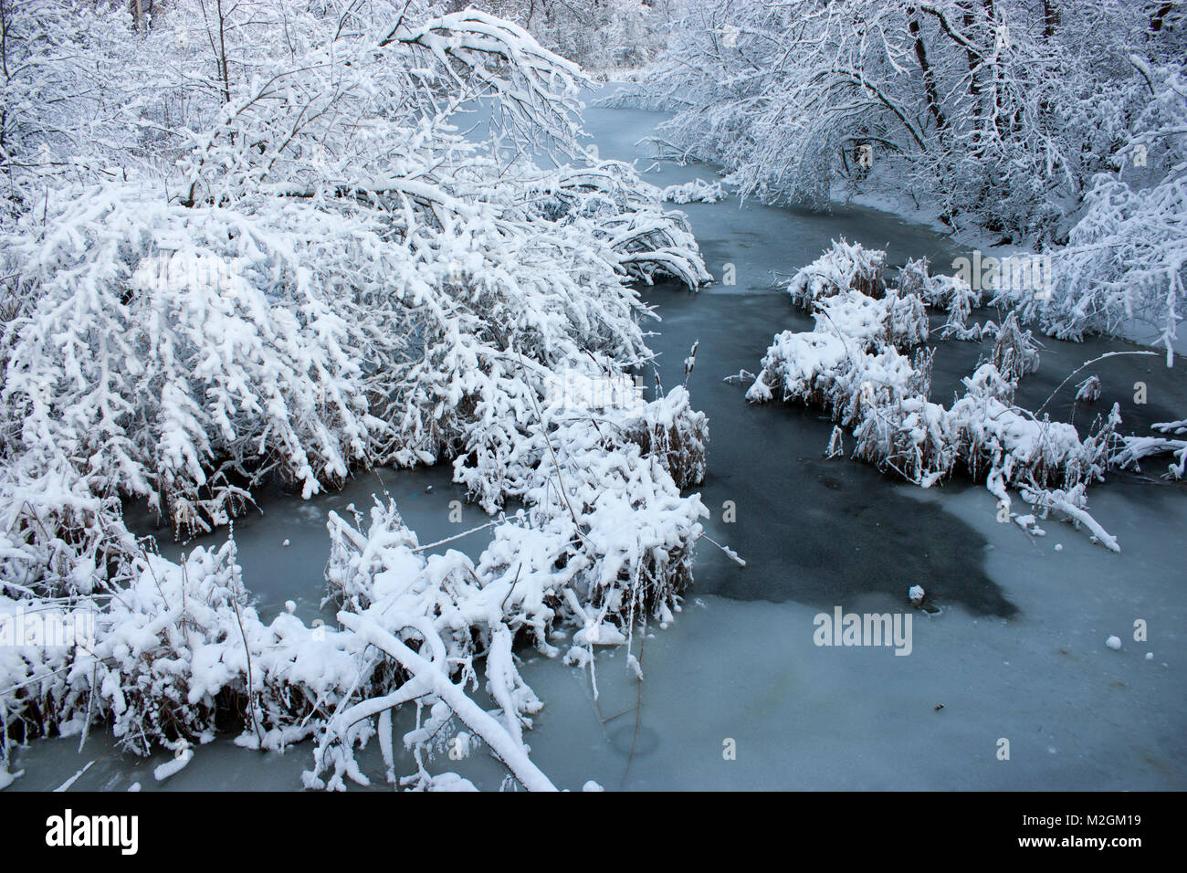 The river was covered with ice, winter, trees in the snow Stock Photo ...