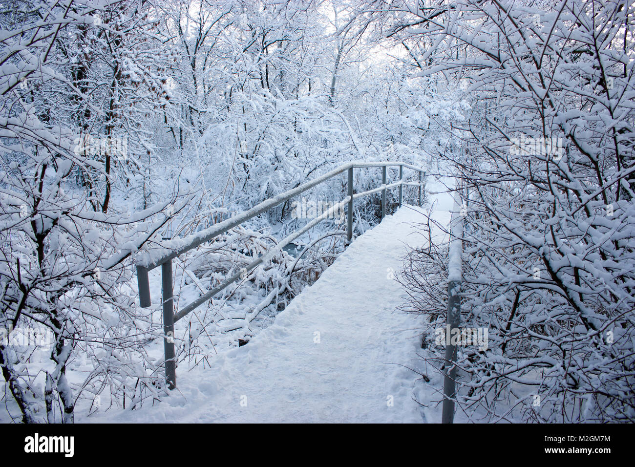 Beautiful bridge in the forest in winter. A lot of snow, nature as in a ...