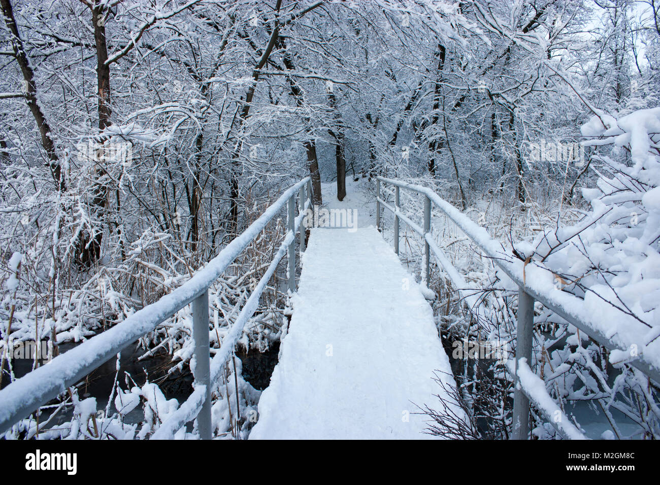 Beautiful bridge in the forest in winter. A lot of snow, nature as in a ...