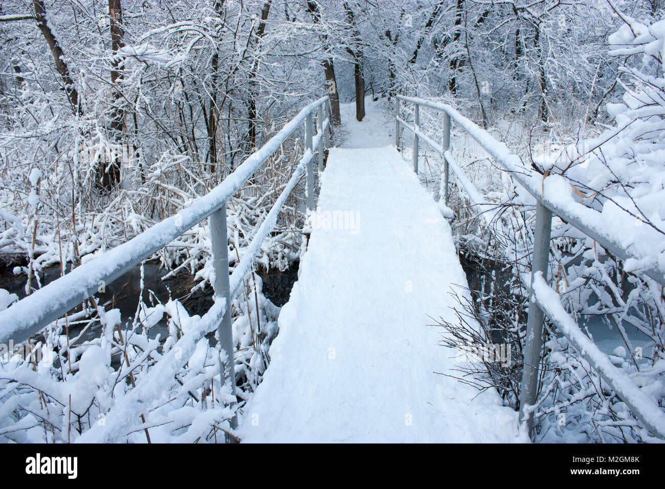 Beautiful bridge in the forest in winter. A lot of snow, nature as in a ...