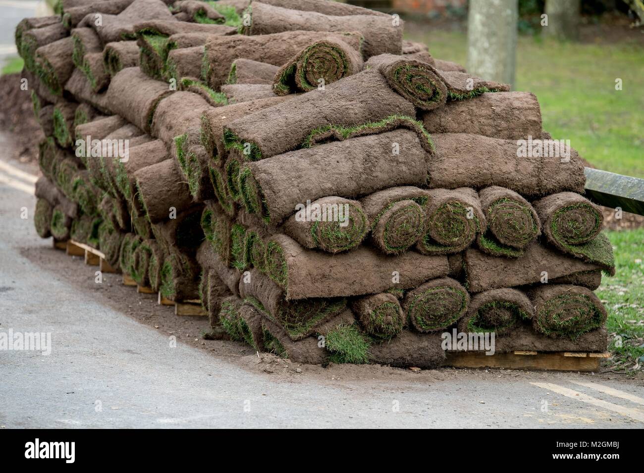 Rolls of grass turf in a pile ready to be used Stock Photo - Alamy