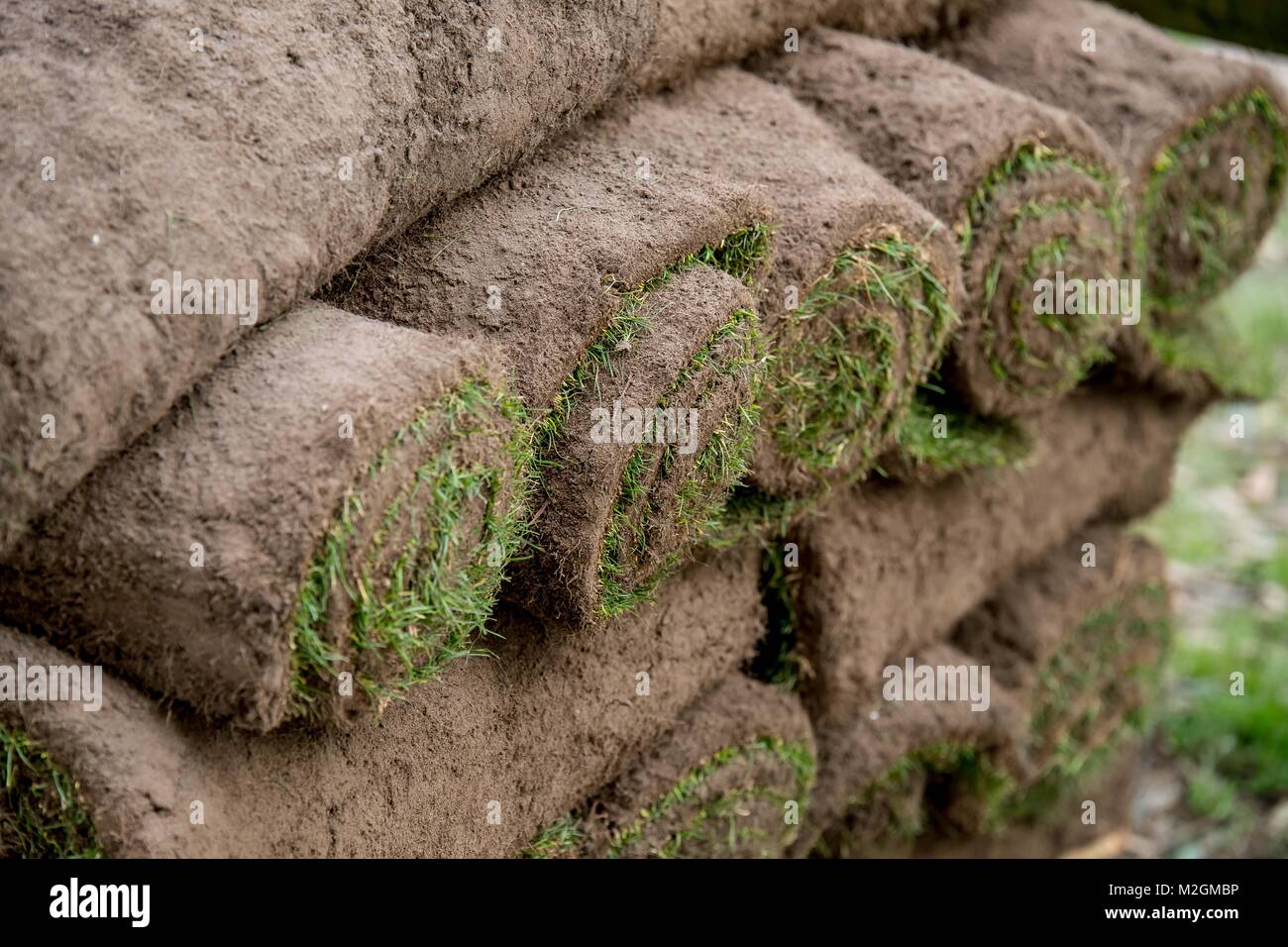 Rolls of grass turf in a pile ready to be used Stock Photo - Alamy