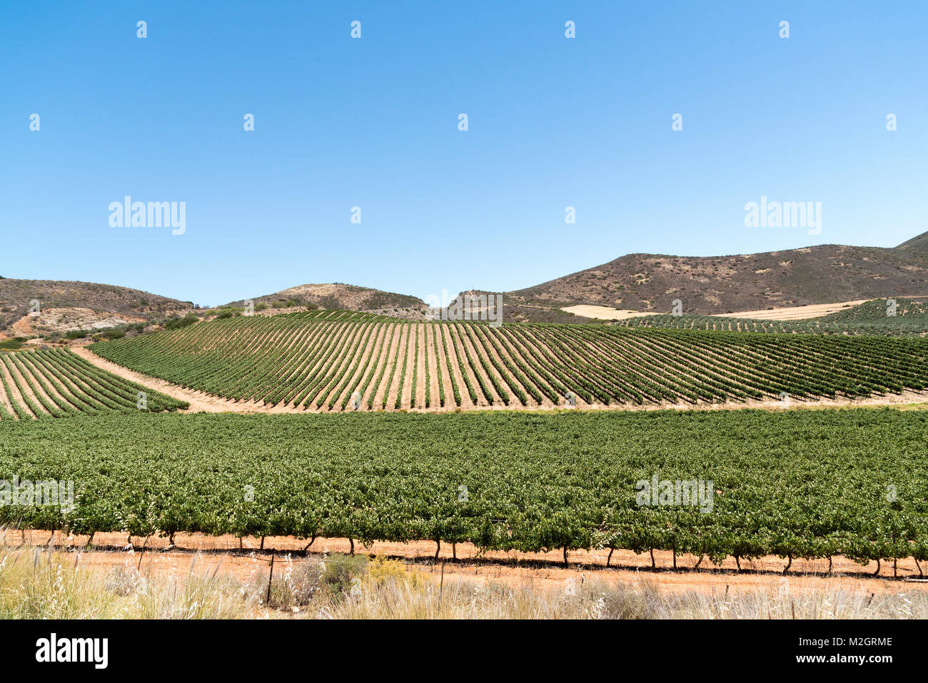 Swartland hi-res stock photography and images - Alamy