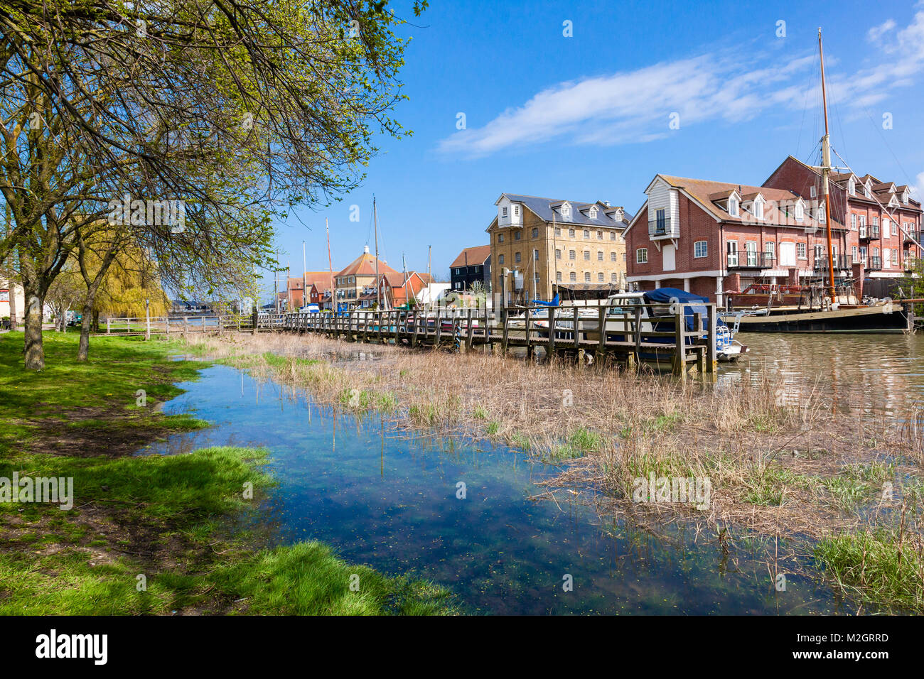 Waterside trees hi-res stock photography and images - Alamy