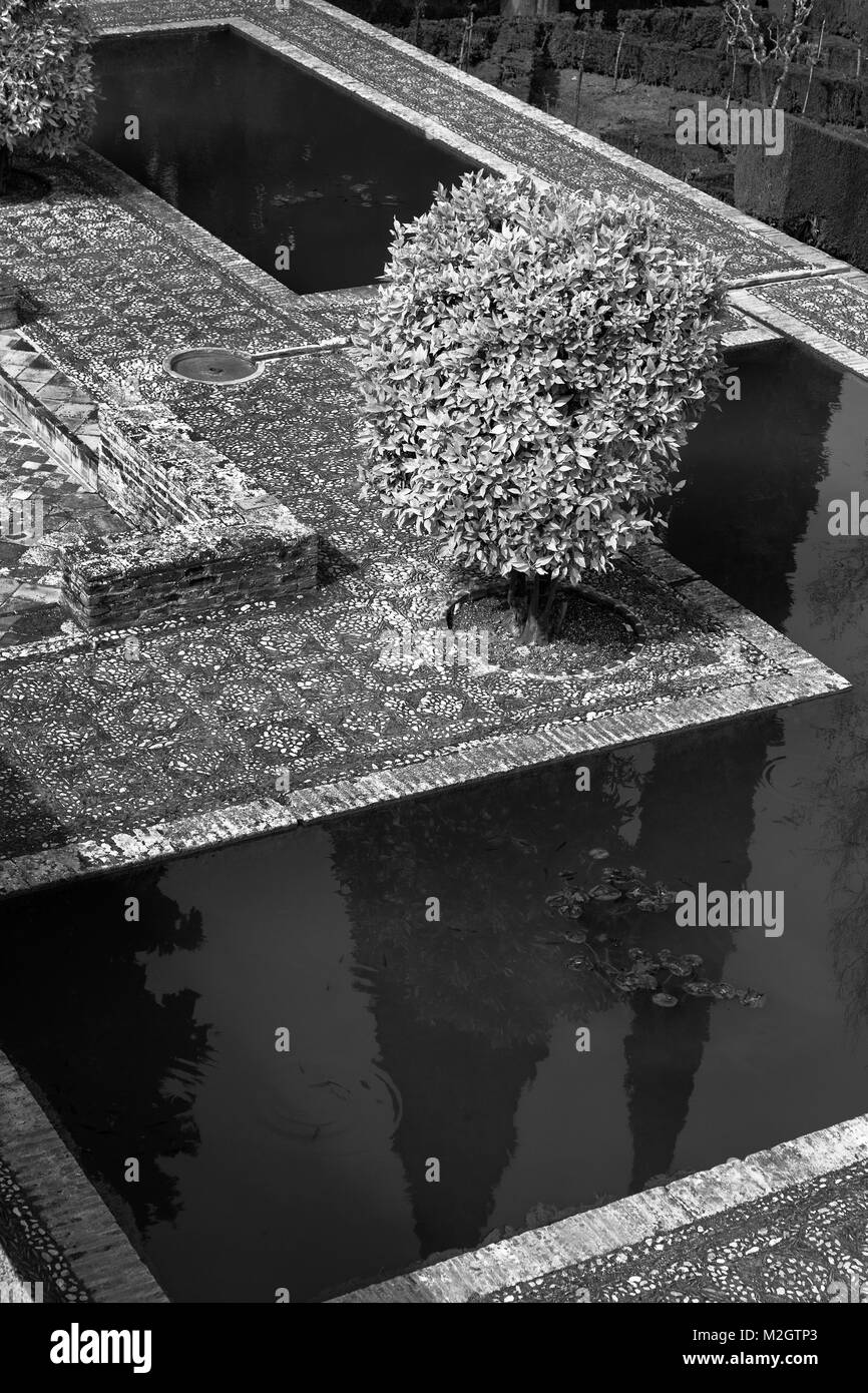 Detail of formal pools and decorative paving on the upper terrace of ...
