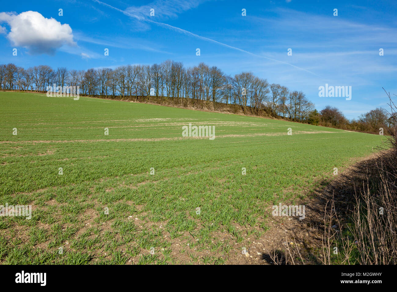 Pilgrims way kent winter hi-res stock photography and images - Alamy