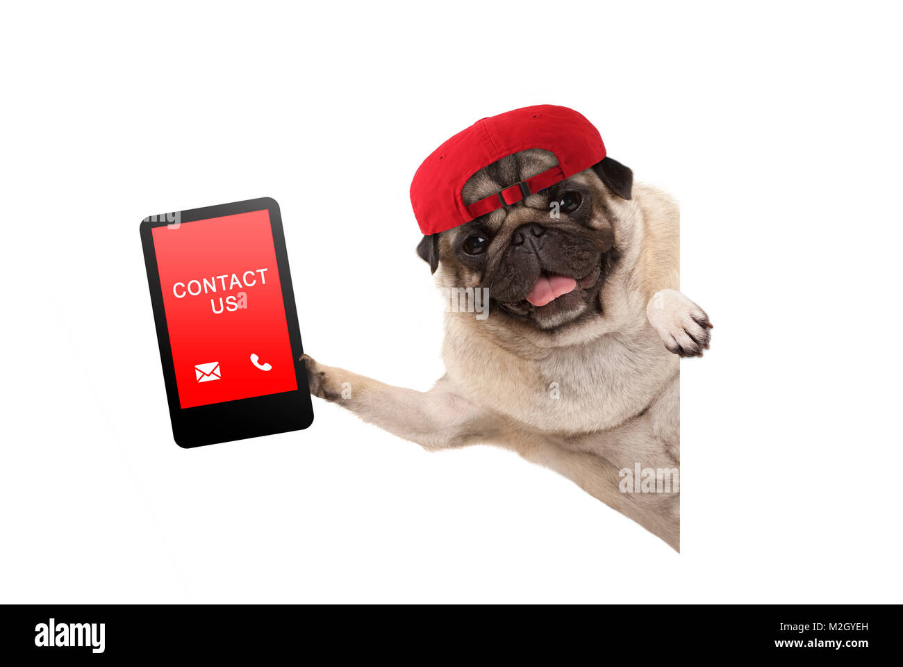 Phone isolated screen text Cut Out Stock Images & Pictures - Alamy