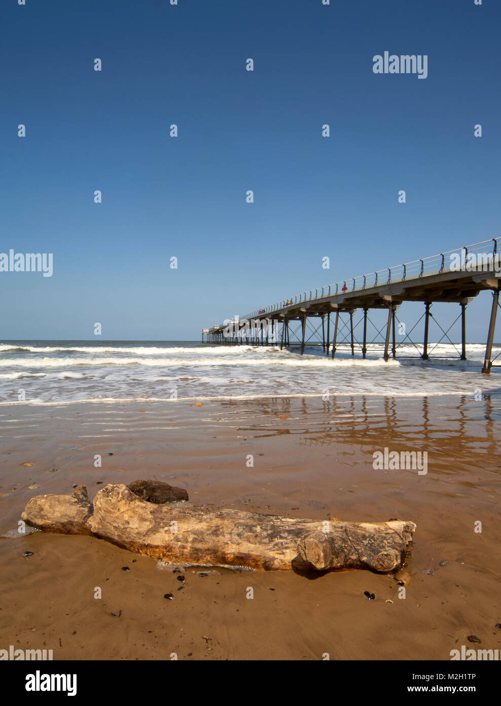 Saltburn park hi-res stock photography and images - Alamy