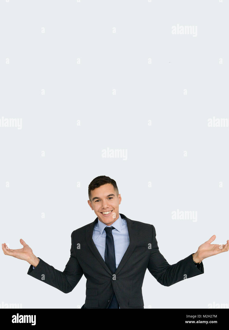 portrait of a handsome, young, well dressed man in a suit and tie ...