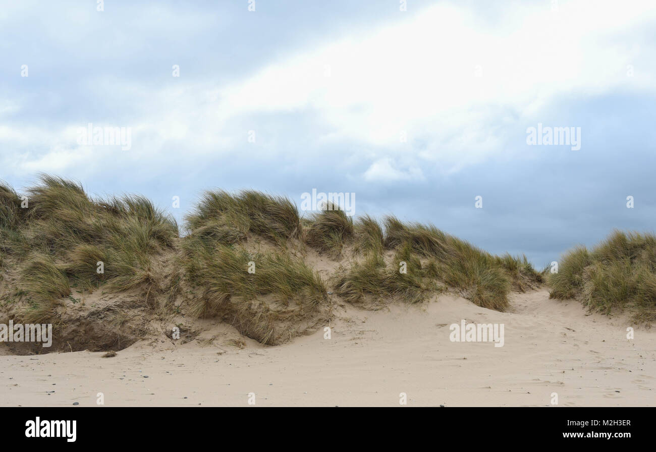sand dunes at talacre beach in gloomy wales Stock Photo - Alamy