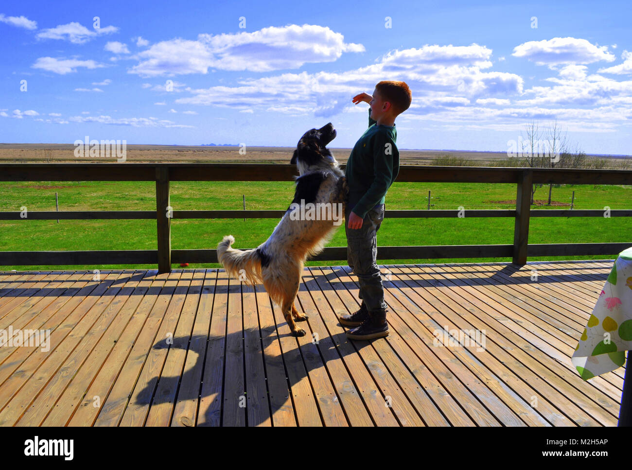 Teasing boy hi-res stock photography and images - Alamy