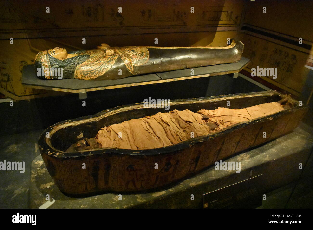 Mummies at Leeds Museum Stock Photo - Alamy
