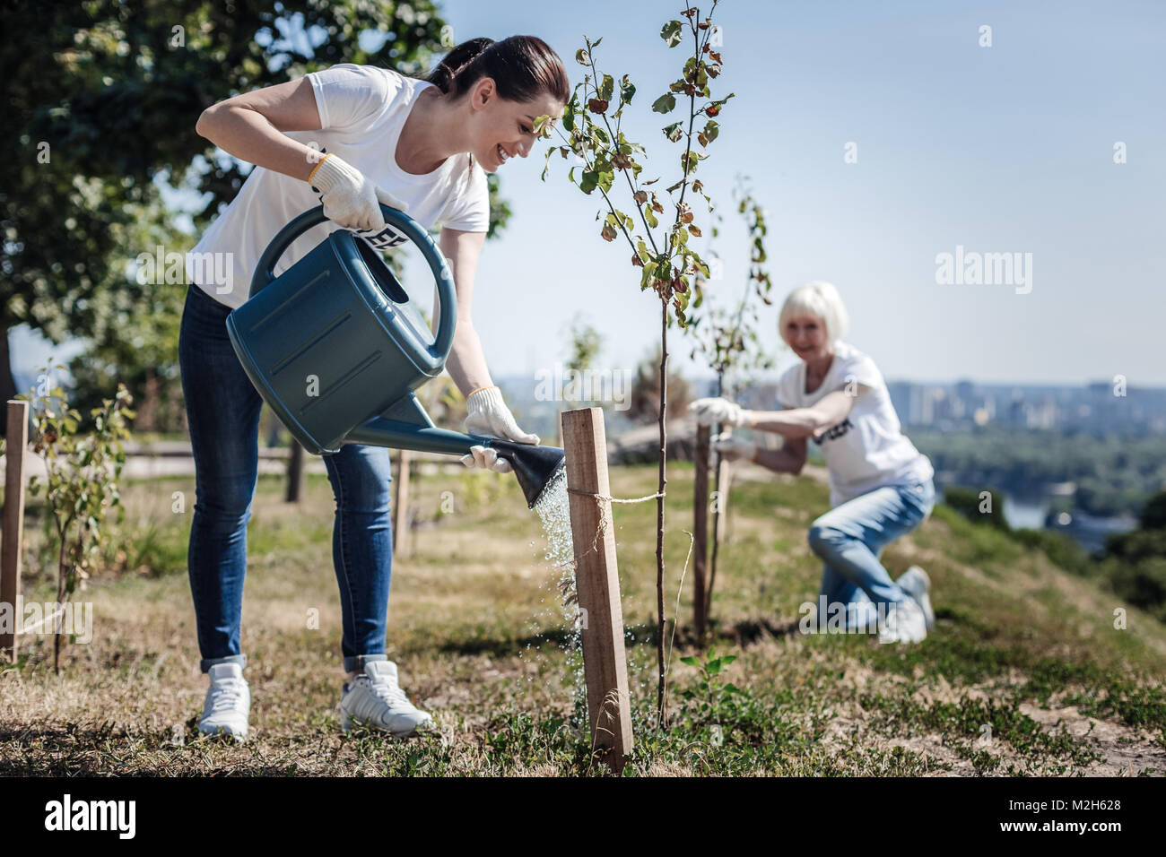 Planting tree hi-res stock photography and images - Alamy