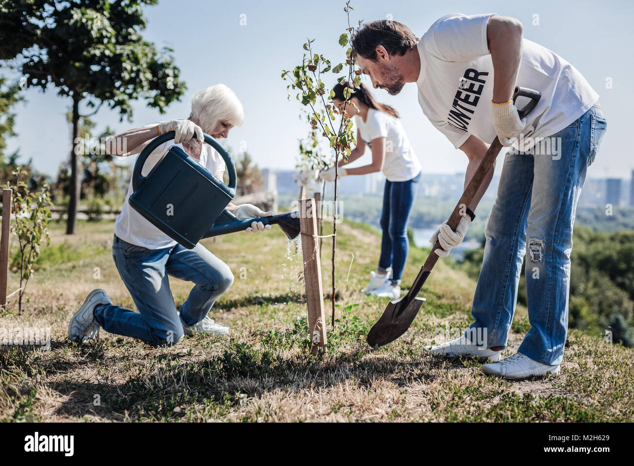 Nice hard working volunteers planting trees Stock Photo - Alamy