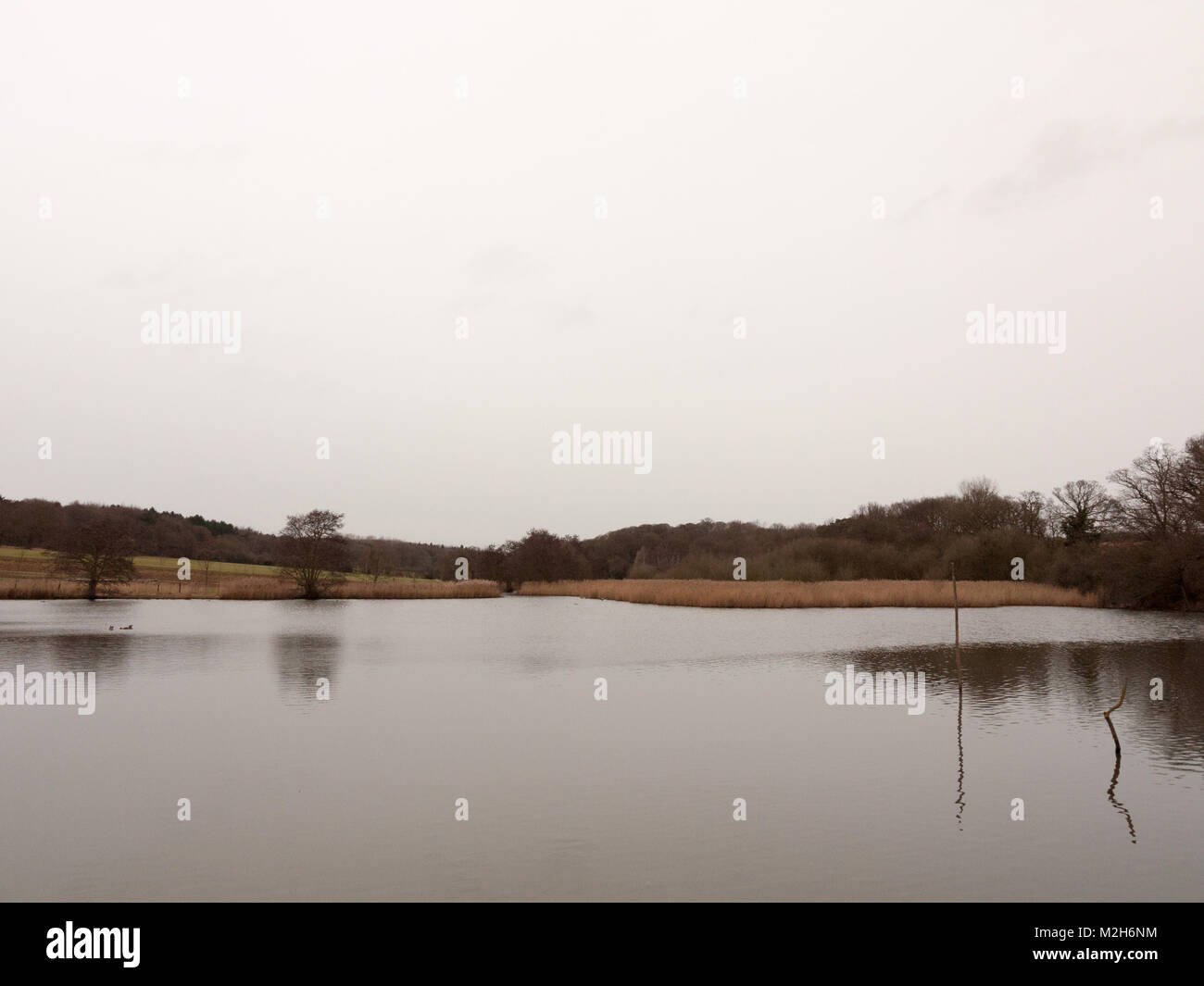bleak cold white sky winter lake serene country landscape depressing ...