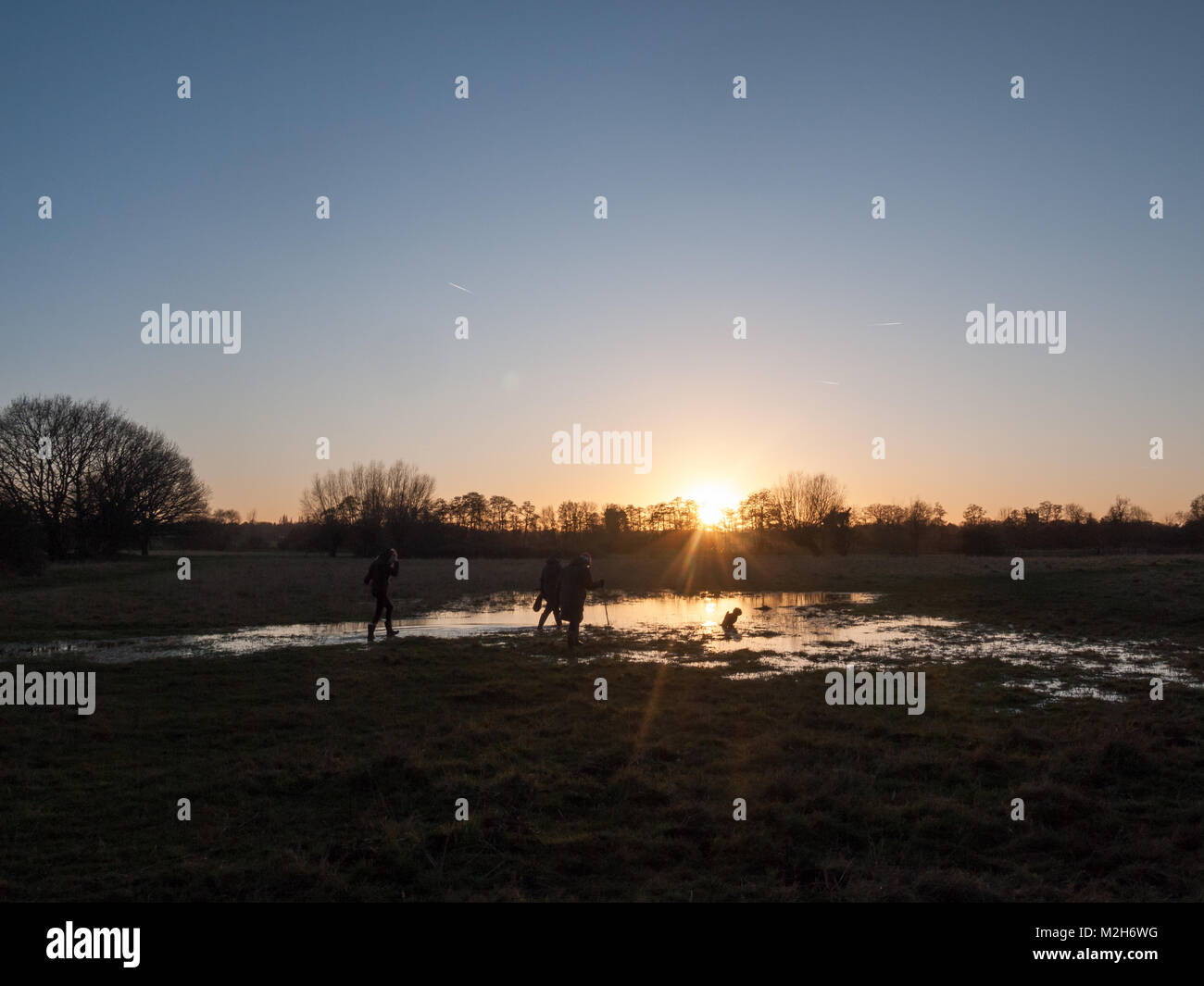 Waterlogged pathway hi-res stock photography and images - Alamy