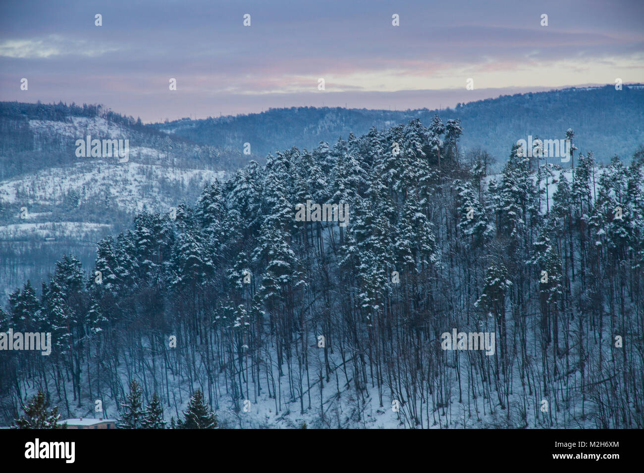 Beautiful winter landscape in the forest. Sunset Stock Photo - Alamy