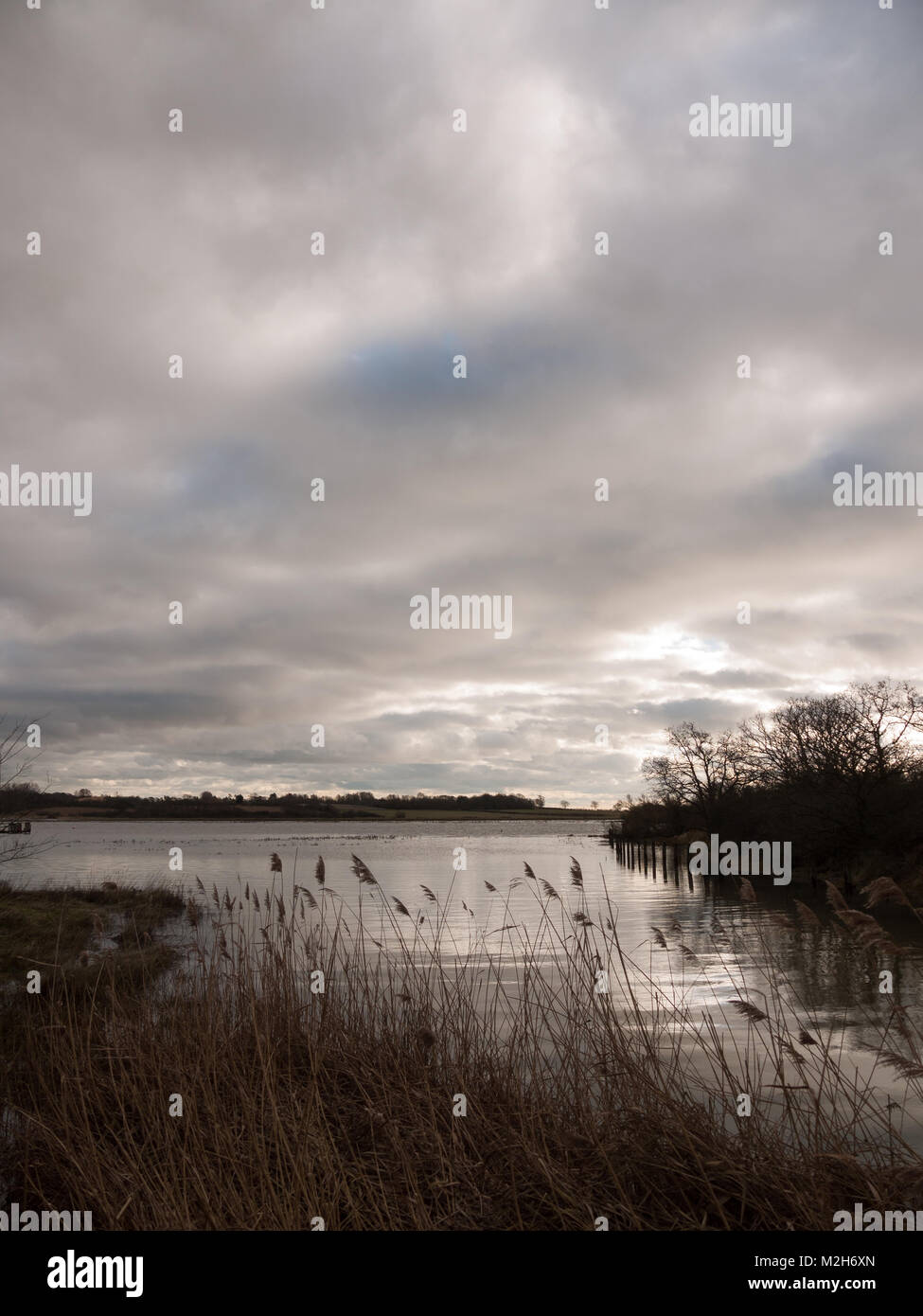 uk autumn winter grey cloudy bay scene outside river branches; essex ...