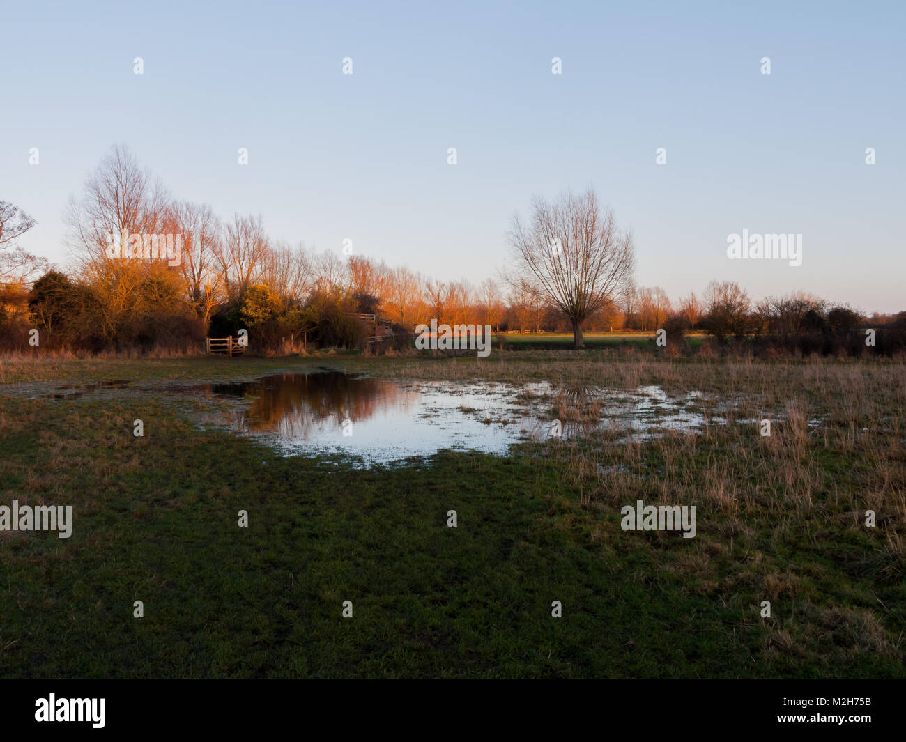 Waterlogged pathway hi-res stock photography and images - Alamy