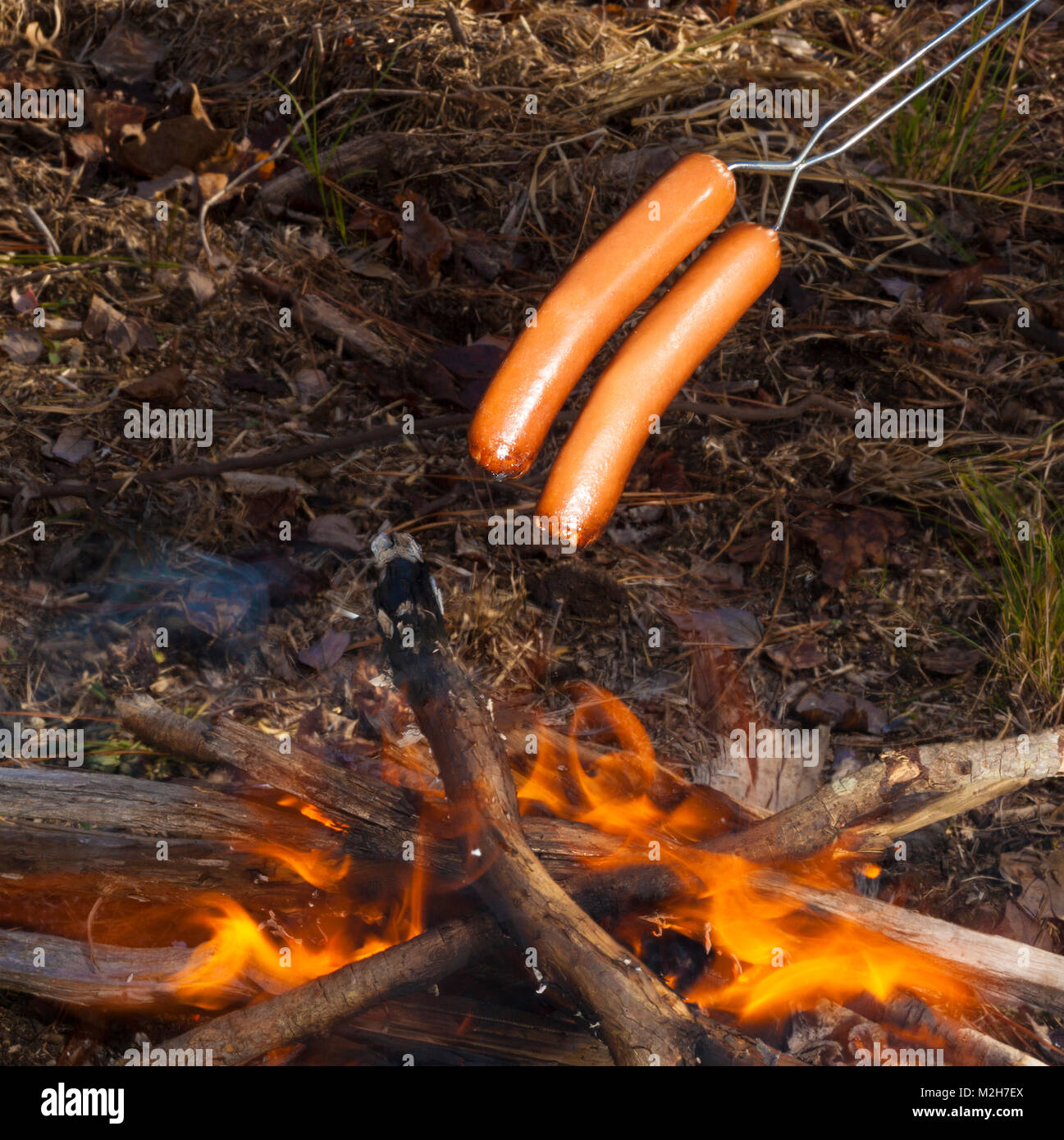 Roasting hot dogs at campfire hi-res stock photography and images - Alamy