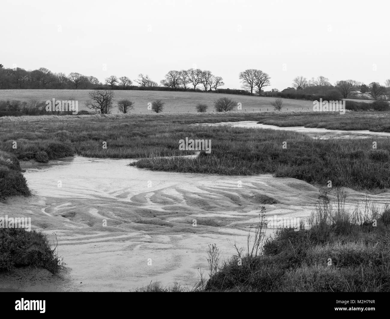 black and white close up texture of wet mudflats river estuary; essex ...