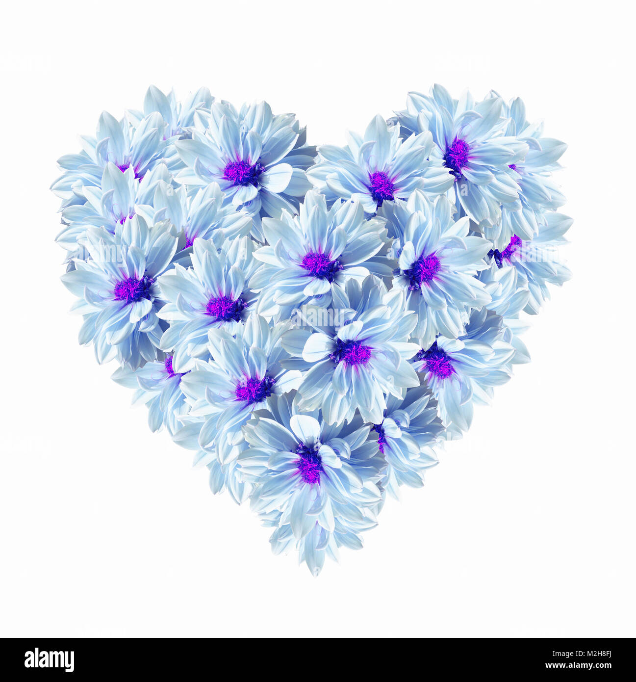 Bouquet blue flowers on Cut Out Stock Images & Pictures - Alamy