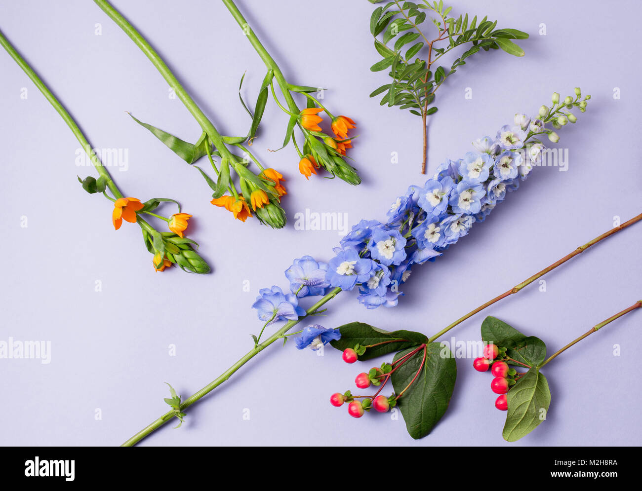 Wedding tools hi-res stock photography and images - Alamy