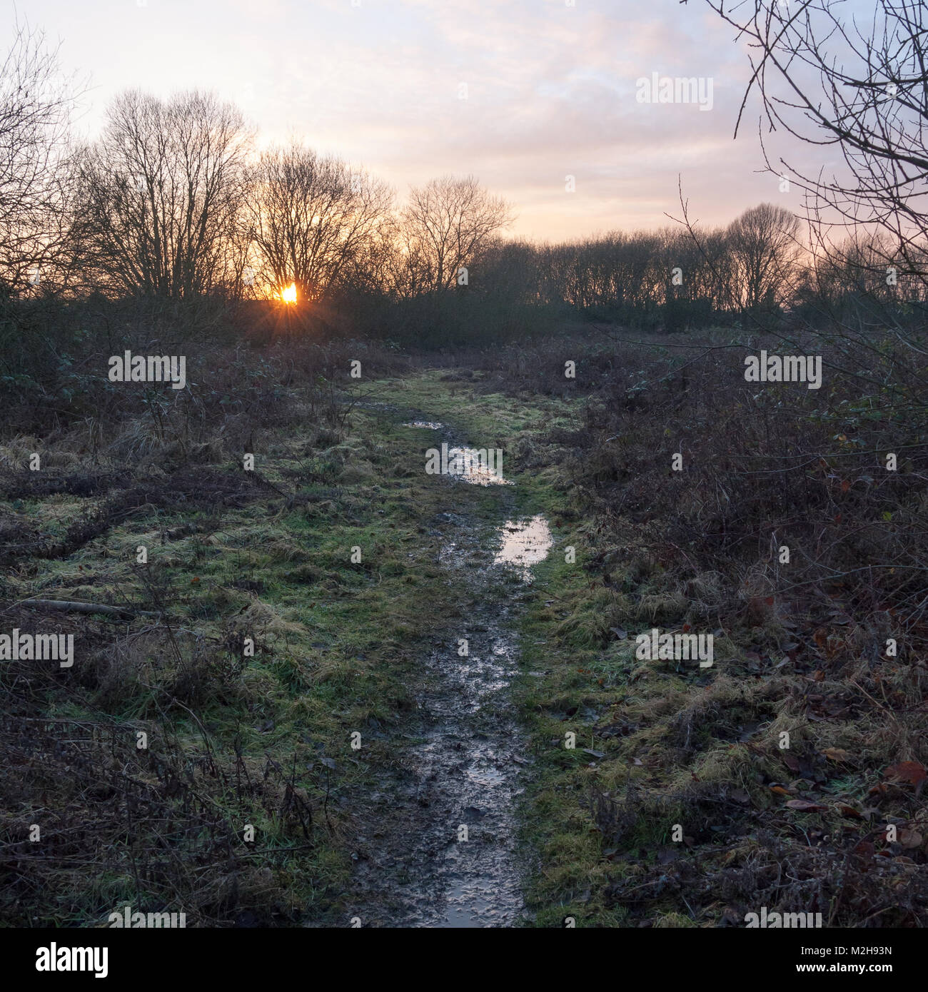 wet waterlogged country muddy path trail walkway sunset silhouette ...
