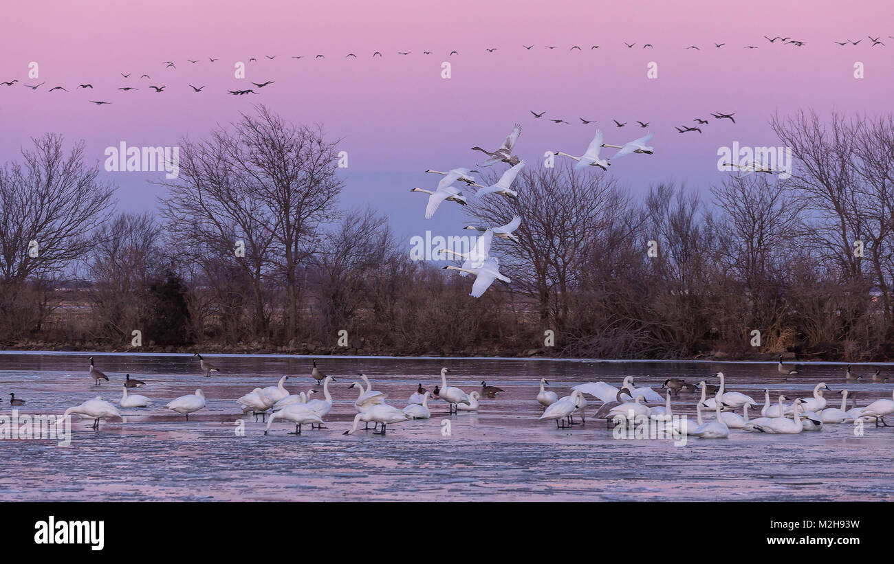 Iowa Natural Resources