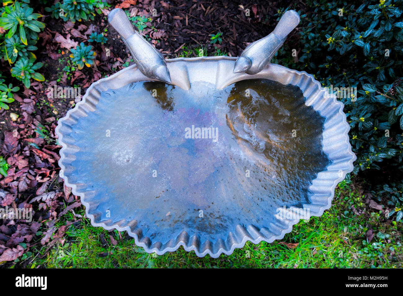 A shell-shaped ornamental bird bath, with a pair of birds on the edge ...