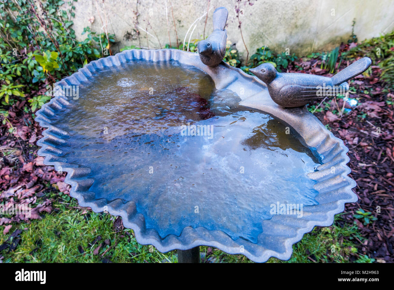 Garden bird bath water feature hi-res stock photography and images - Alamy