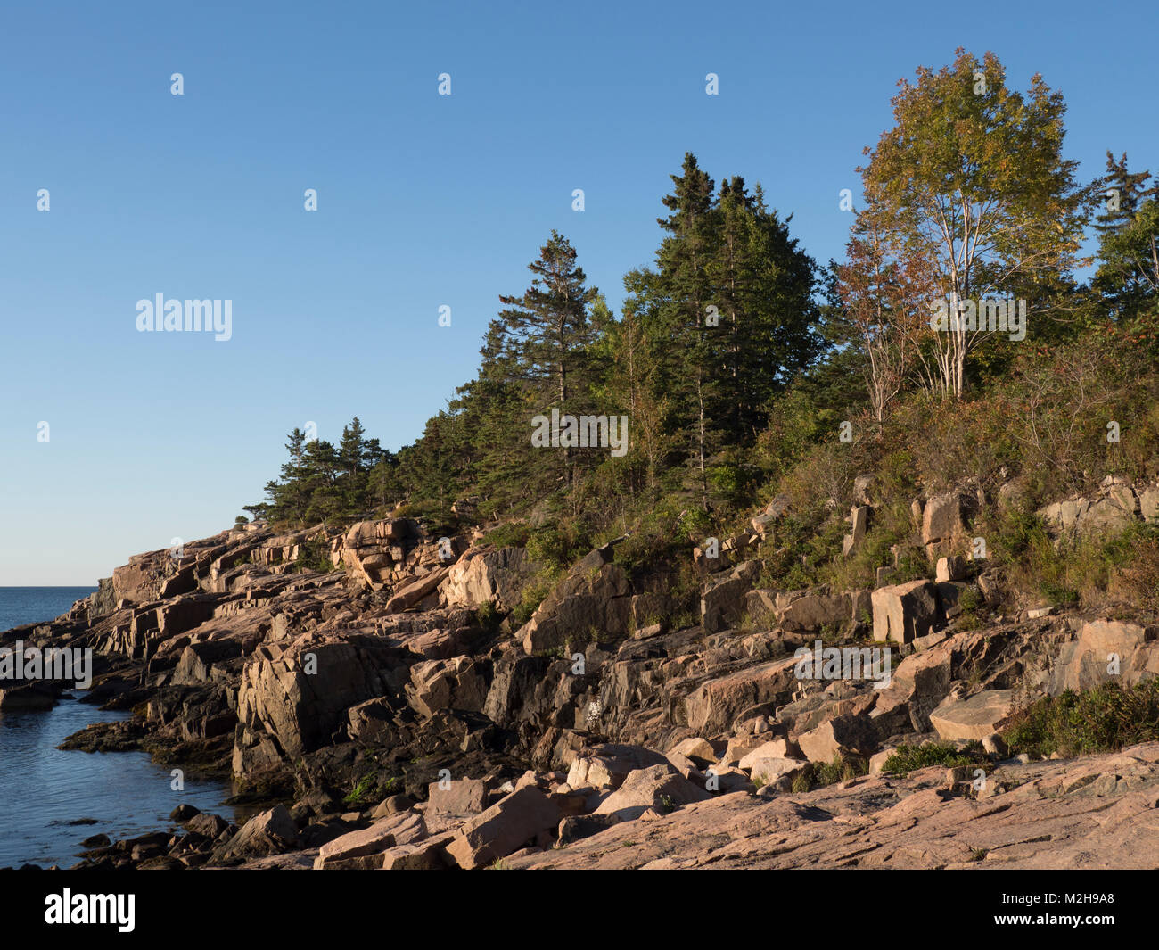 acadia np maine coastline Stock Photo - Alamy