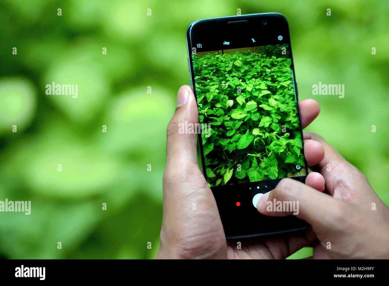 Man holding mobile Stock Photo - Alamy