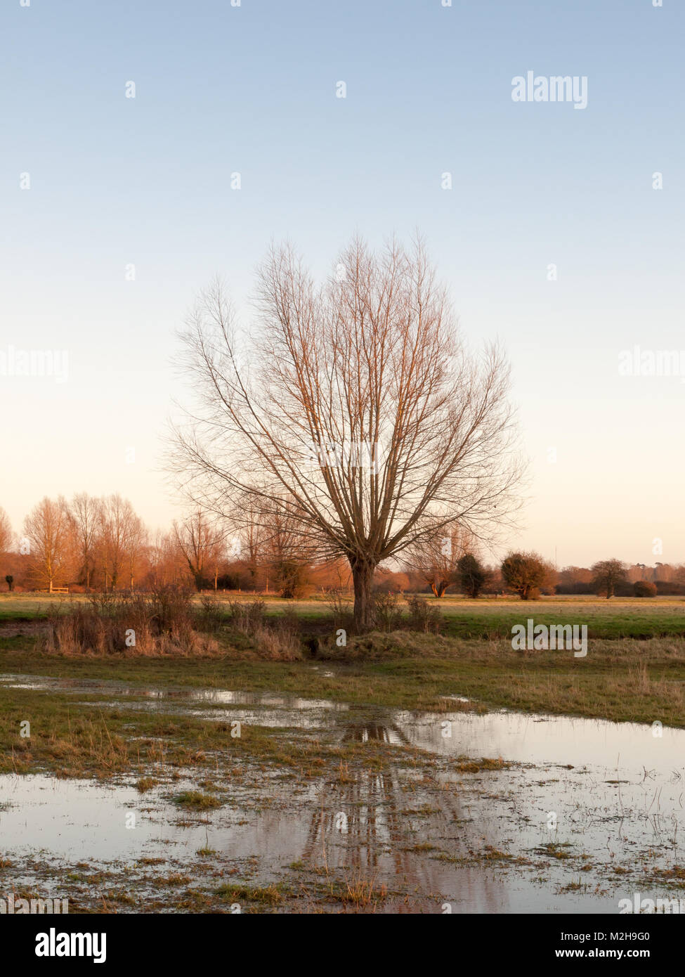 Waterlogged pathway hi-res stock photography and images - Alamy