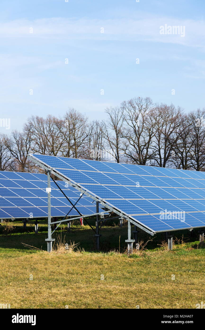 Blue solar panels photovoltaics power station with trees in background ...