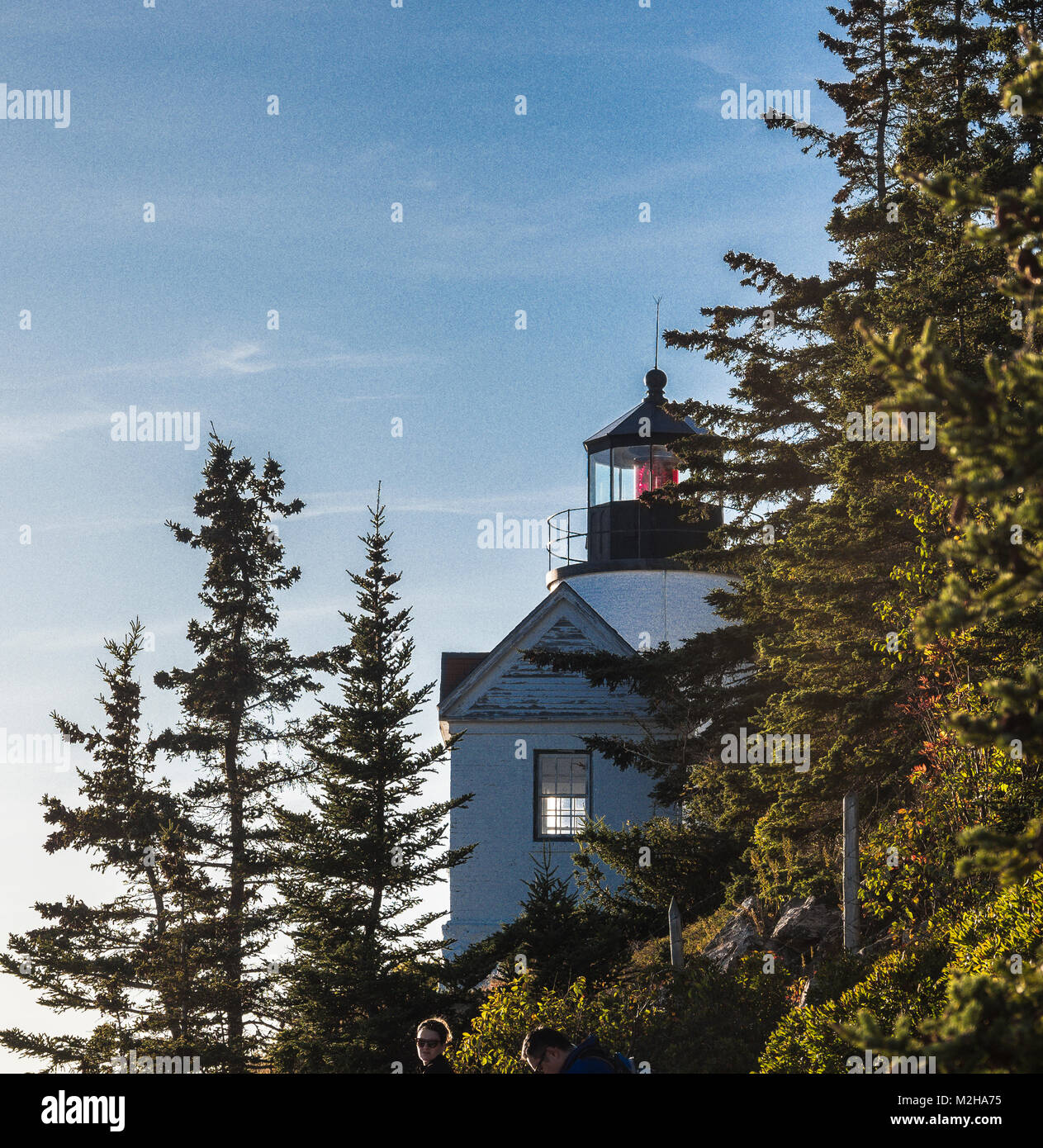 bass harbor lighthouse acadia np maine Stock Photo - Alamy