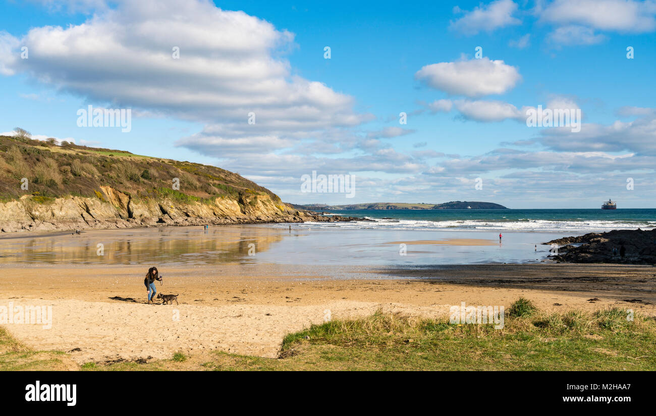 People on the beach at Maenporth in Cornwall, UK Stock Photo - Alamy
