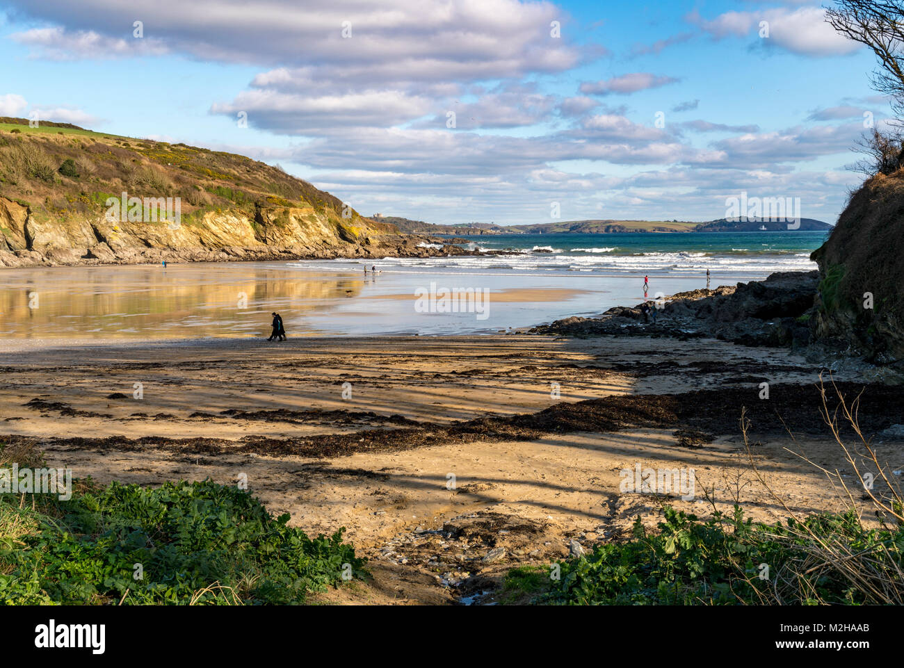 People on the beach at Maenporth in Cornwall, UK Stock Photo - Alamy