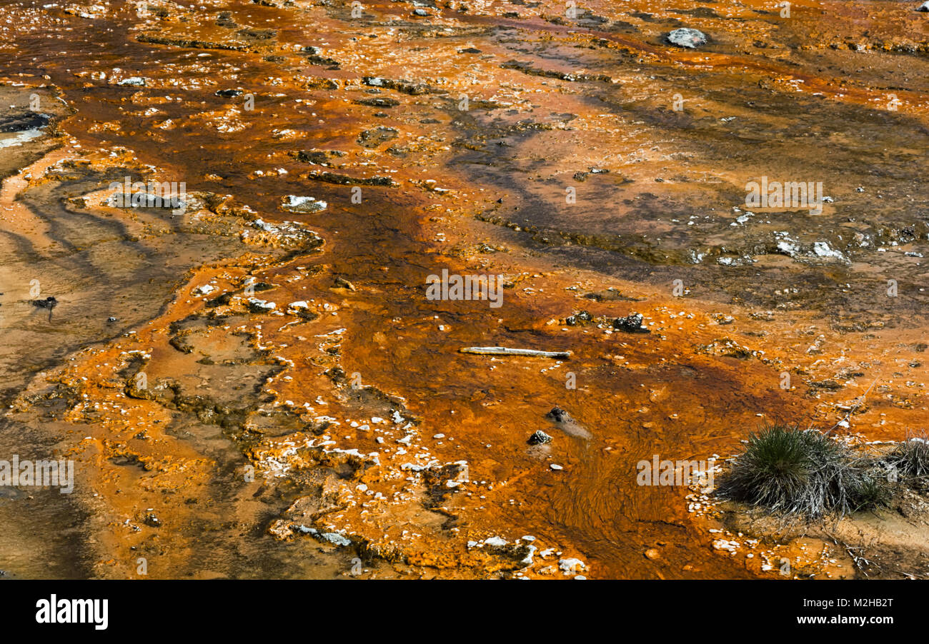 Flowing water is betrayed by deeper colors of brown as the water cross ...