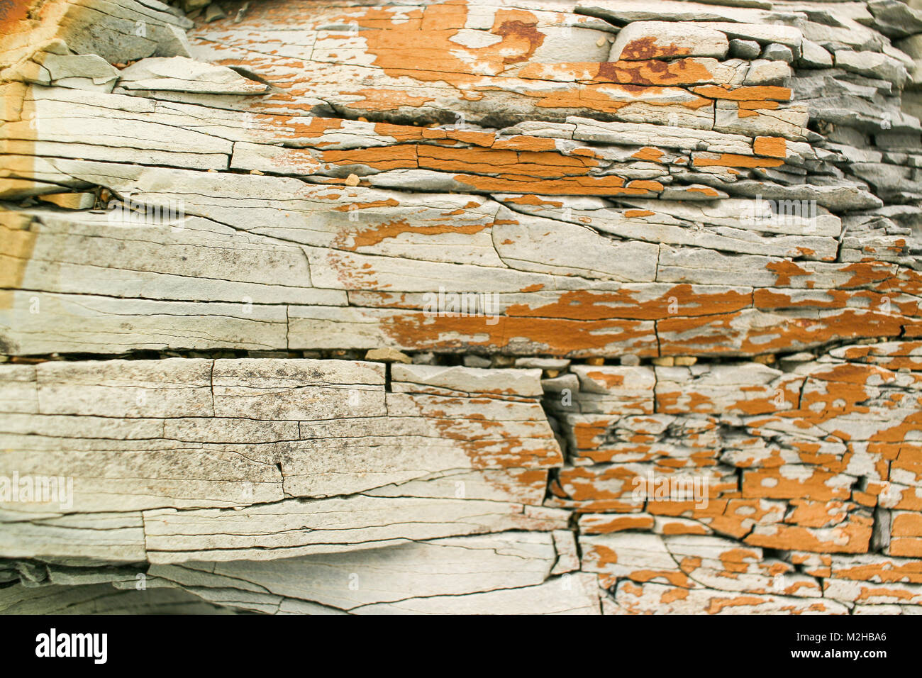 Close-up layered structure of grey-rufous mountain slate Stock Photo ...