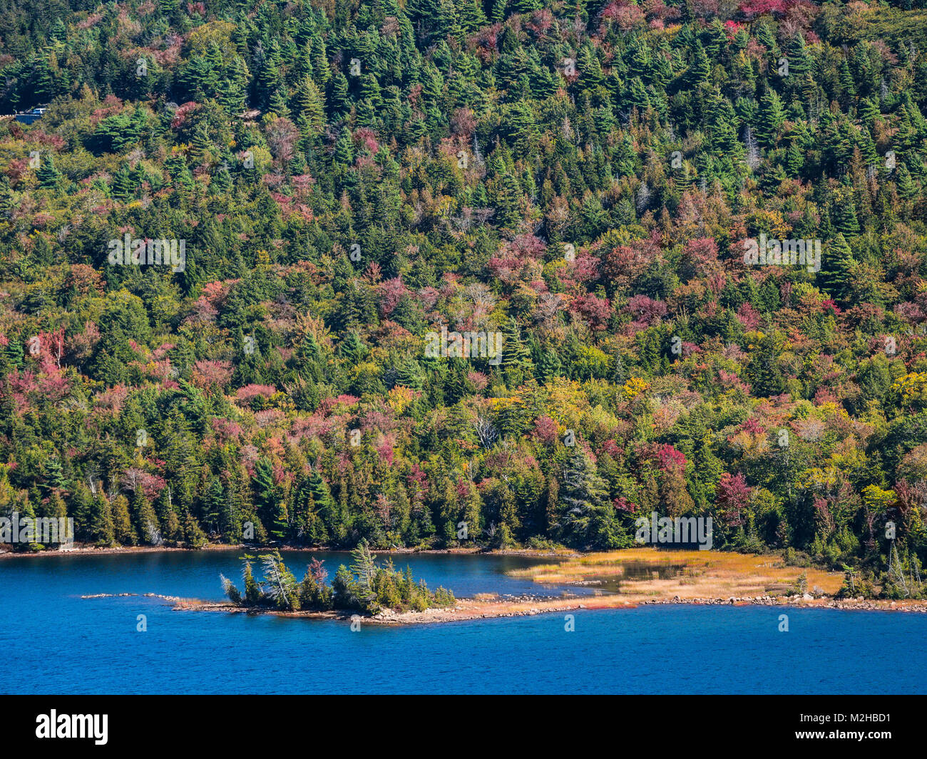 rocky shoreline trees acadia np maine Stock Photo - Alamy