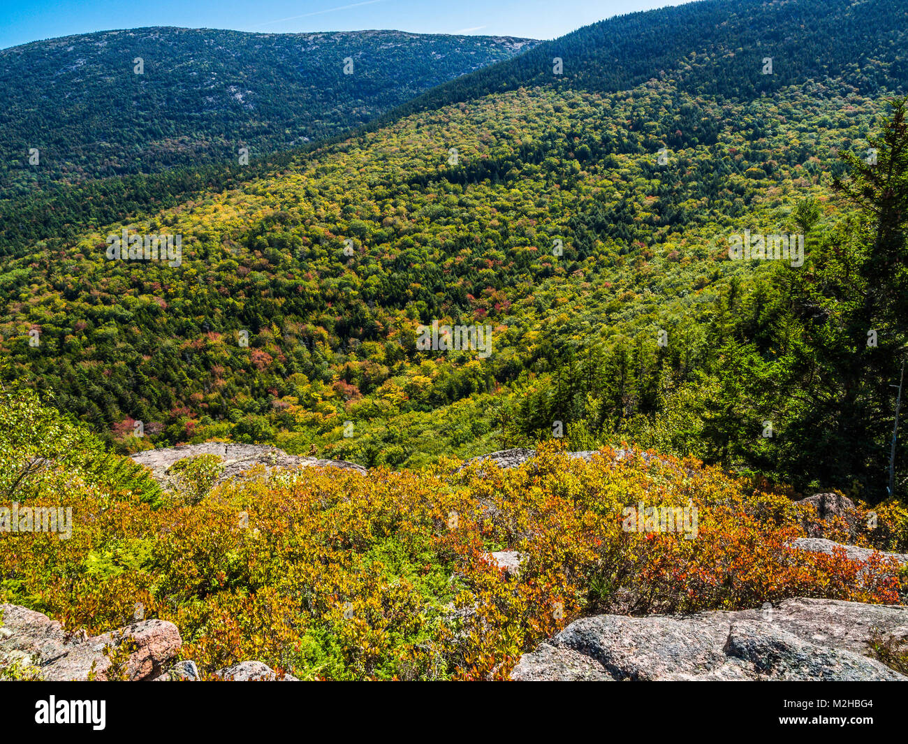 fall color trees acadia np maine Stock Photo - Alamy