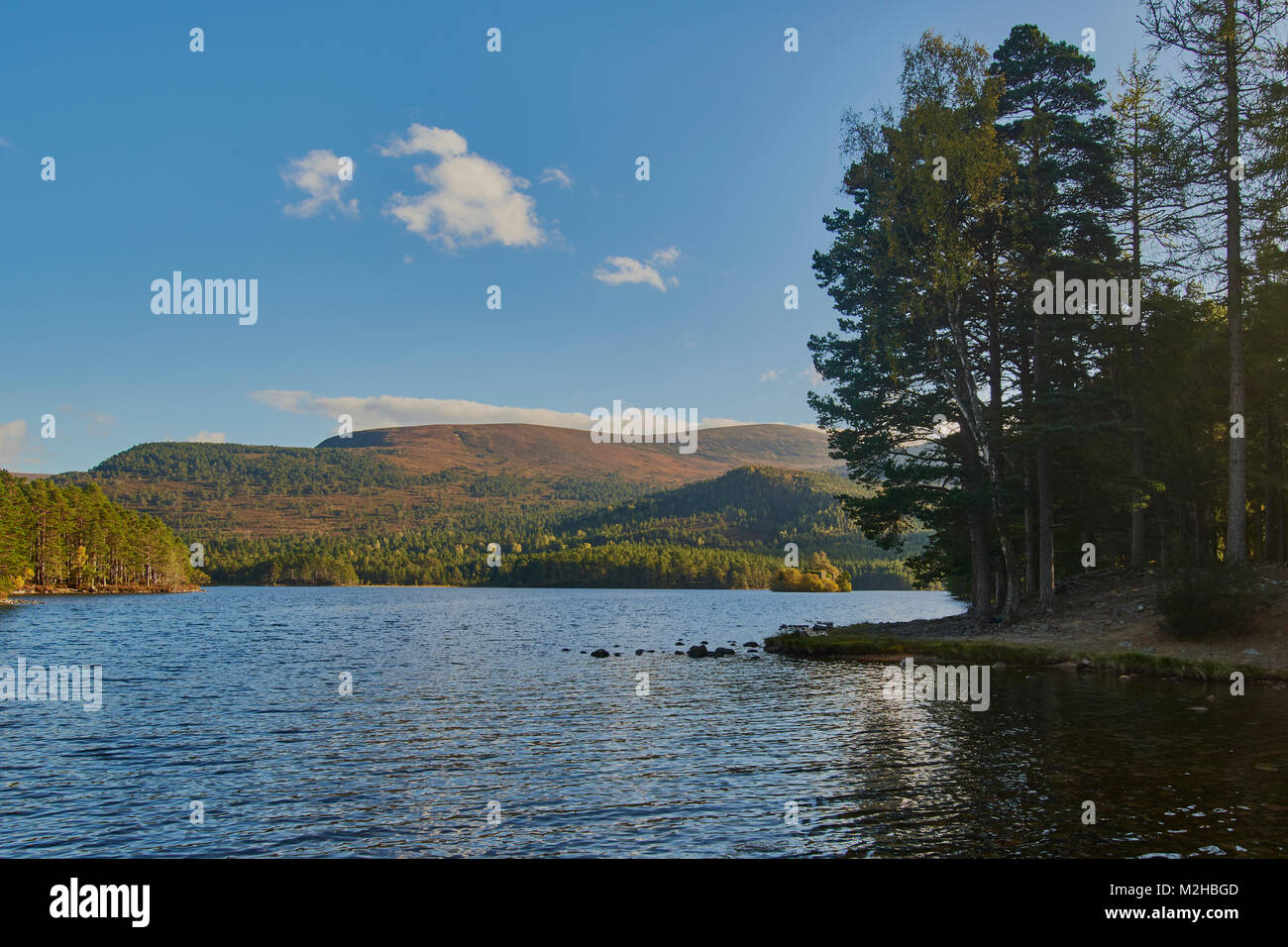 Loch an Eilein in Rothiemurchus Forest, Cairngorms National Park ...