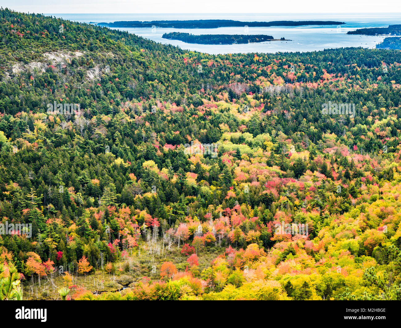 fall color trees acadia np maine Stock Photo - Alamy