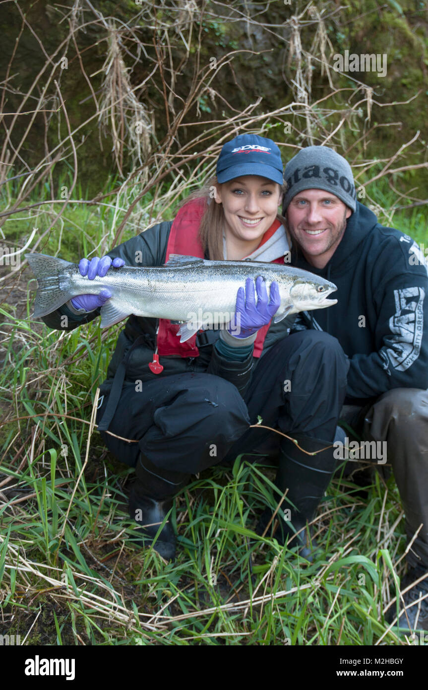 Steelhead Trout fishing, Siletz River ,Oregon Stock Photo - Alamy