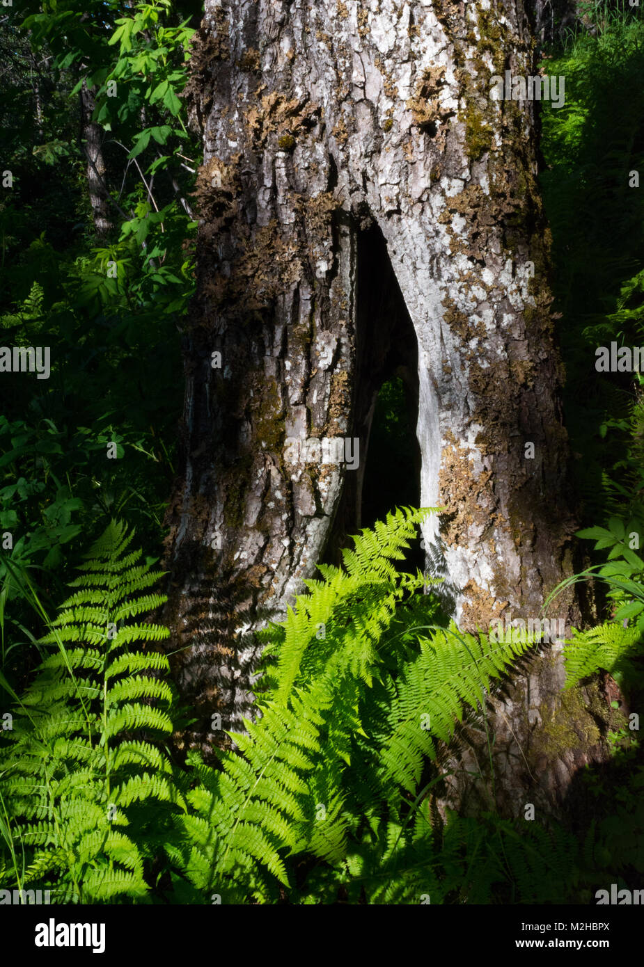 Hallowed hi-res stock photography and images - Alamy