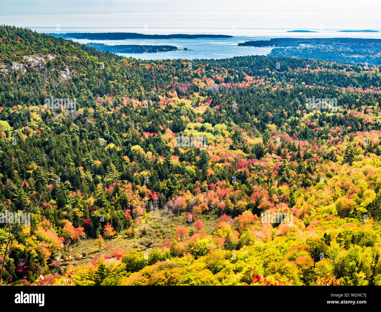 fall color trees acadia np maine Stock Photo - Alamy