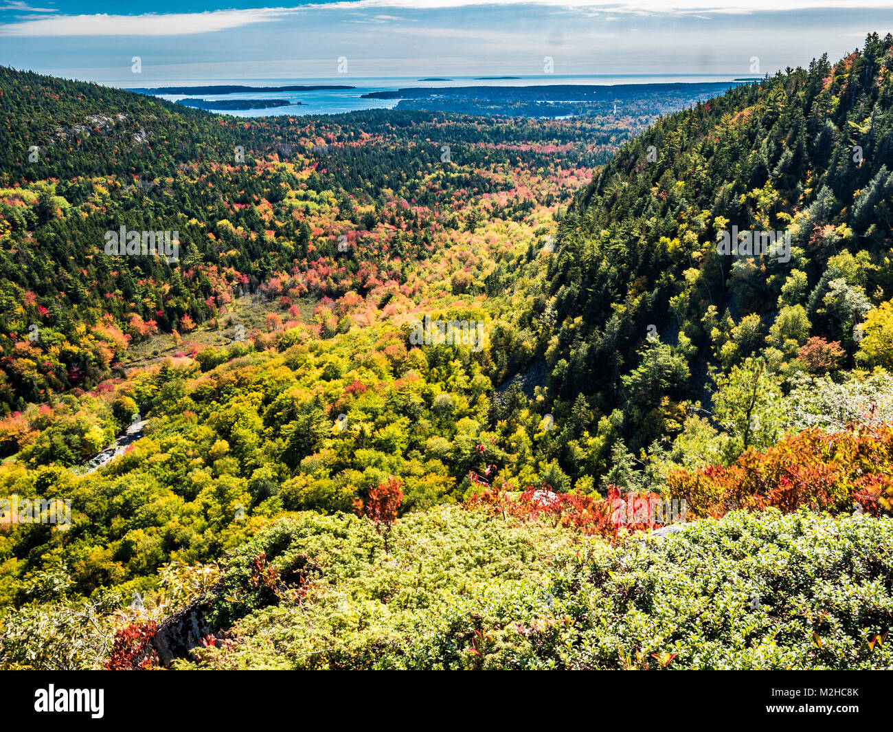 fall color trees acadia np maine Stock Photo - Alamy